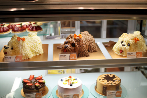 Who Let the Dogs In? Trends in Dog Bakeries